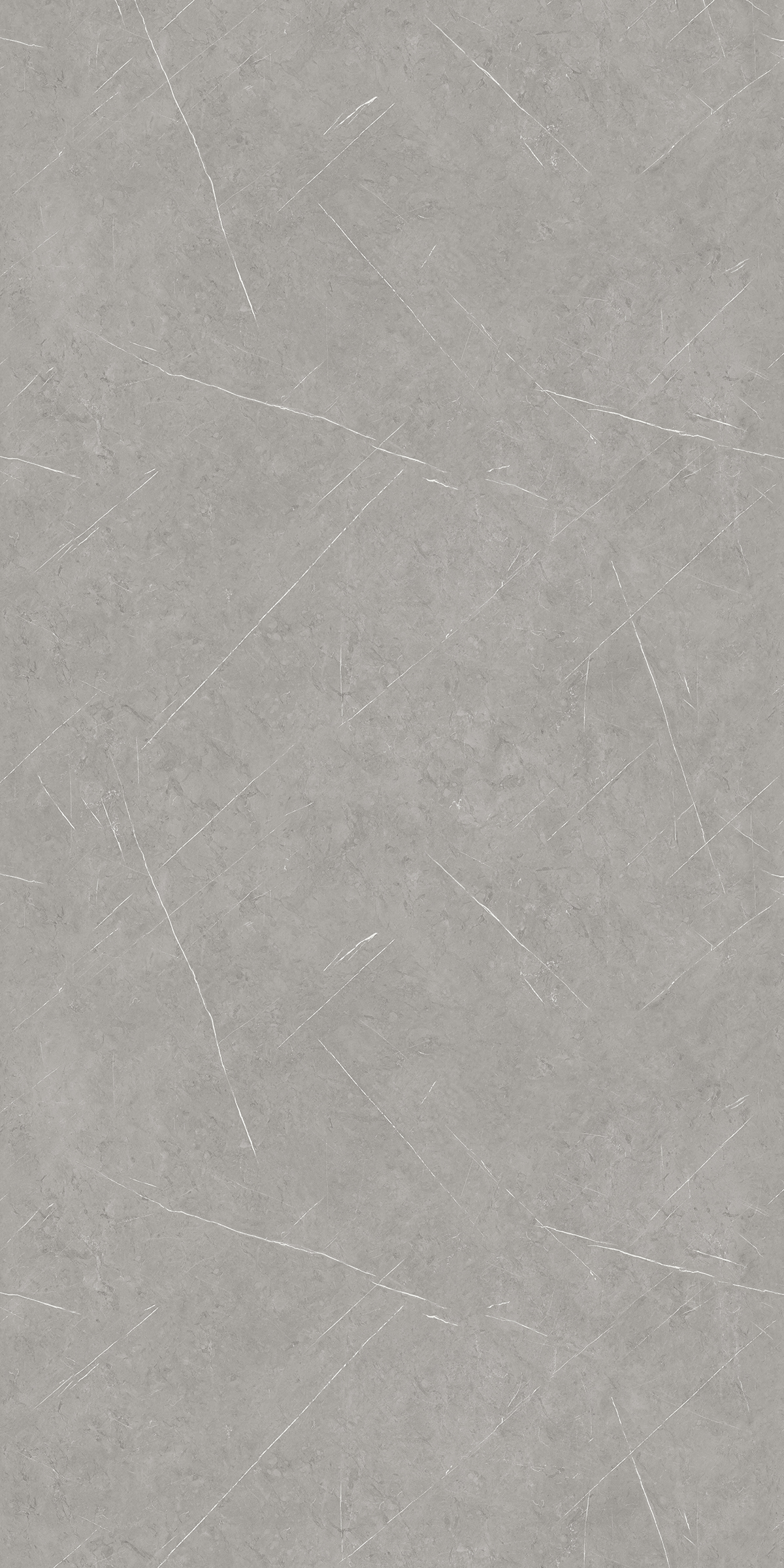 CX 2225 MT – Concrete Mortar – Carta